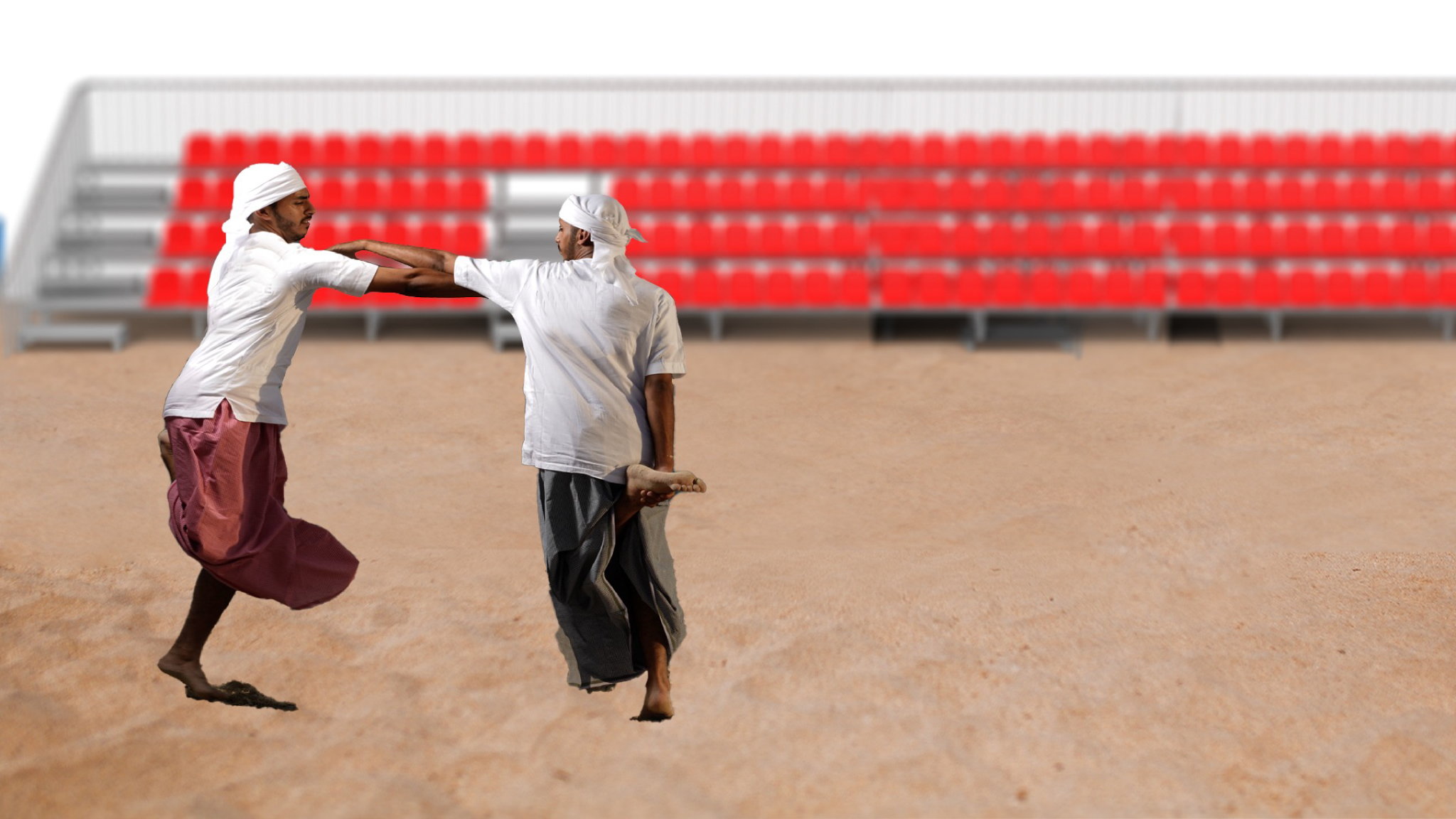 معرض الصور ومقاطع الفيديو - Sheikh Zayed Festival