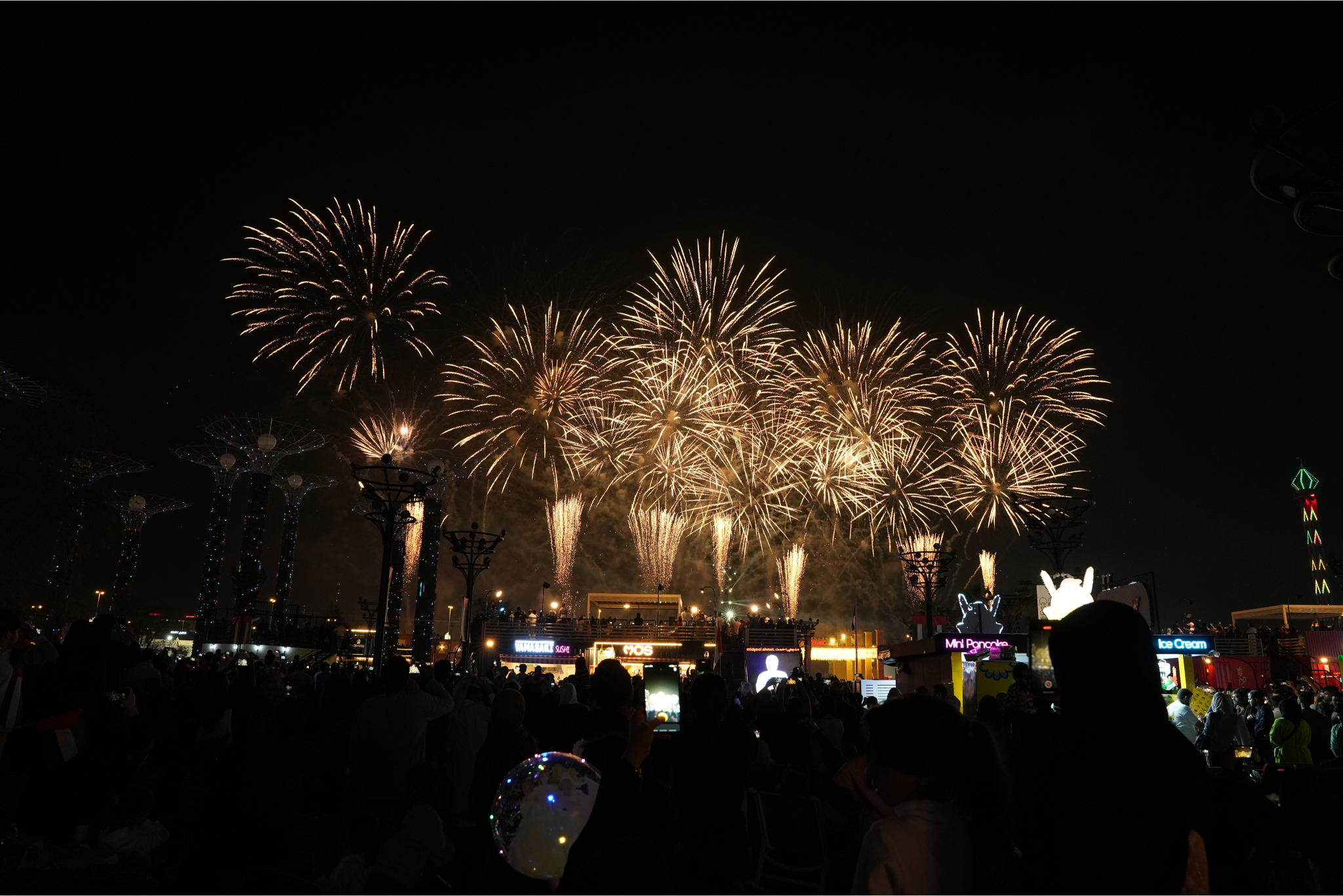 Photos and Videos Gallery - Sheikh Zayed Festival